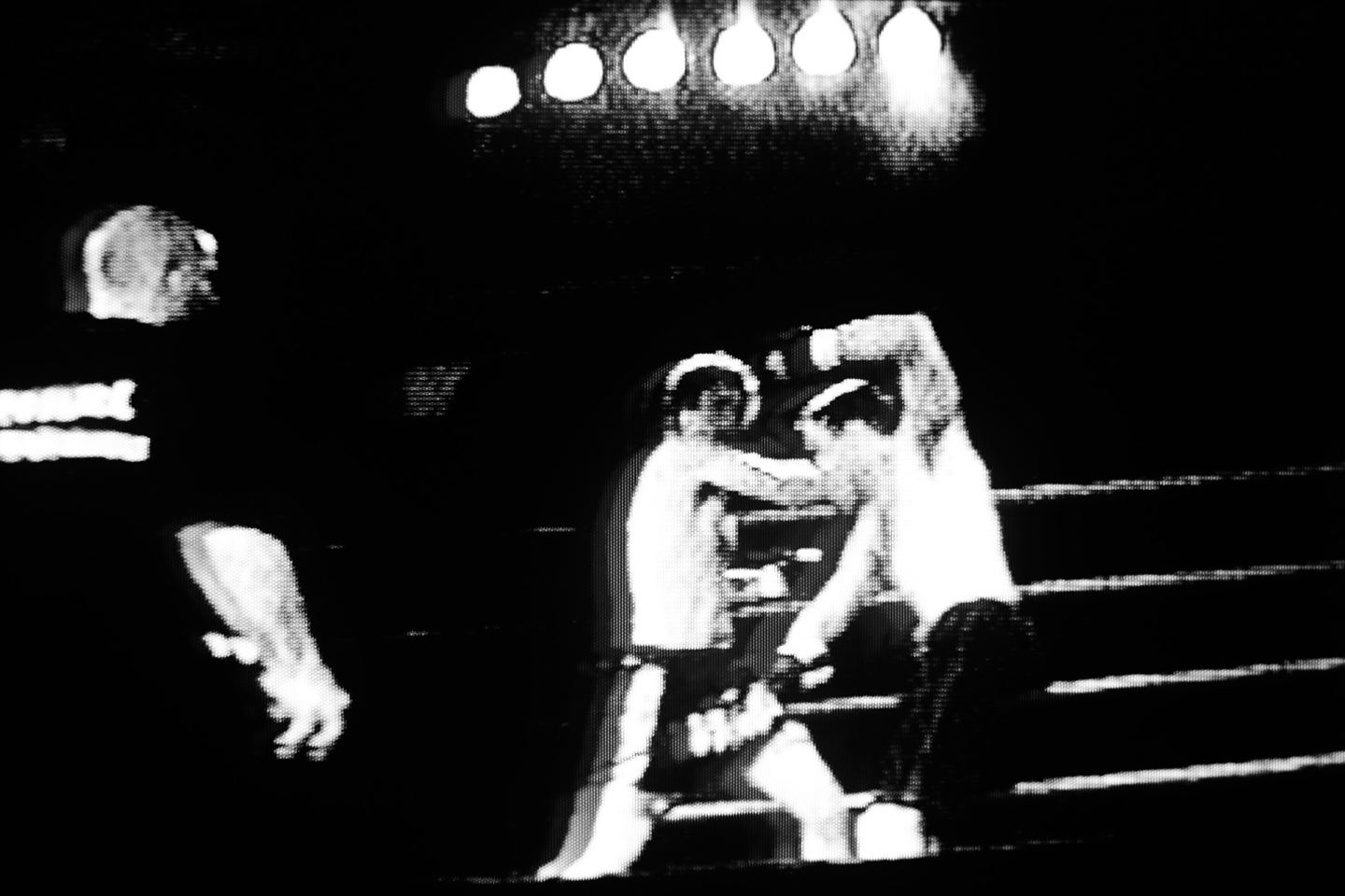 FEEDING THE RAGING HEART – Natali Film